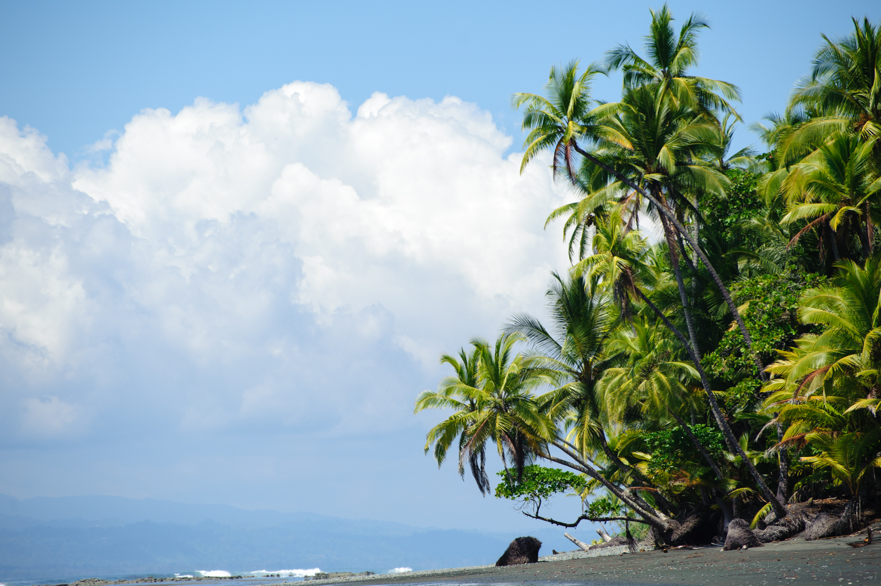 © scott martin-483 - The Yoga Farm, Costa Rica.